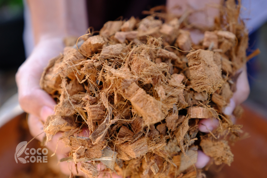 Cocopeat | Organic Coir for Gardening & Hydroponics